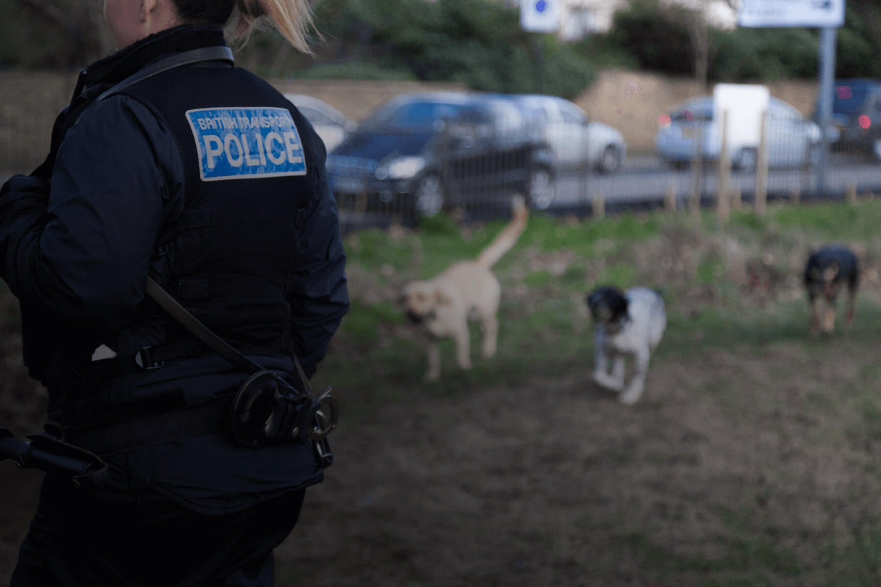 Metropolitan Police Dog Training Establishment - Digital Catapult ...