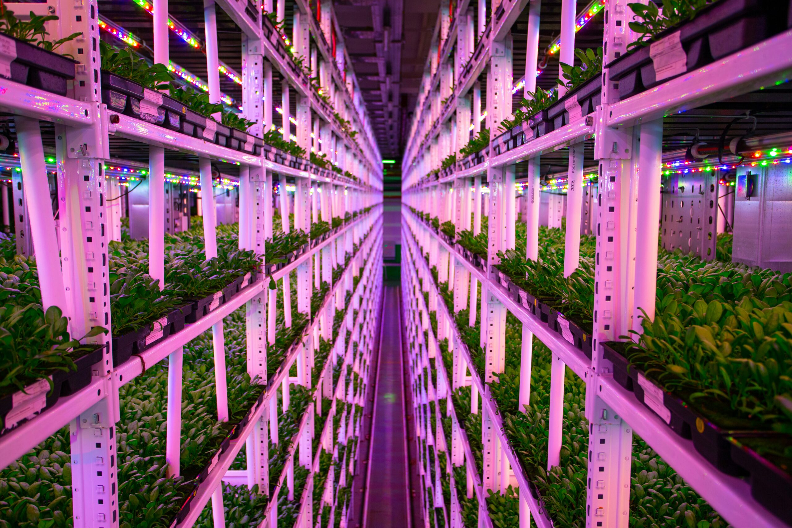 ADViCE - Zero Carbon Farms of the Future - Digital Catapult | Digital ...